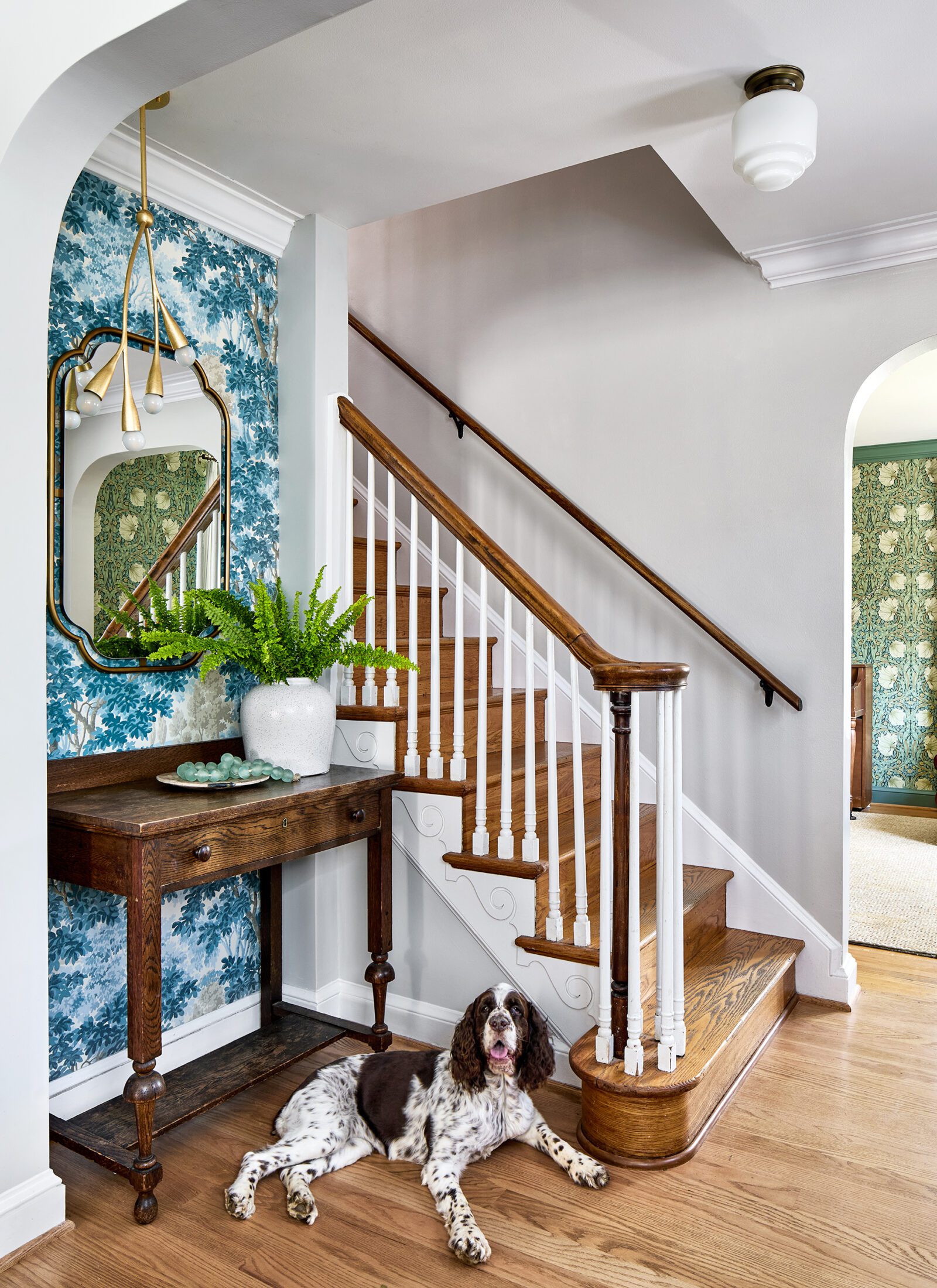 A Designer's Guide to Wallpaper: Answering Your Top Questions - Case ...
